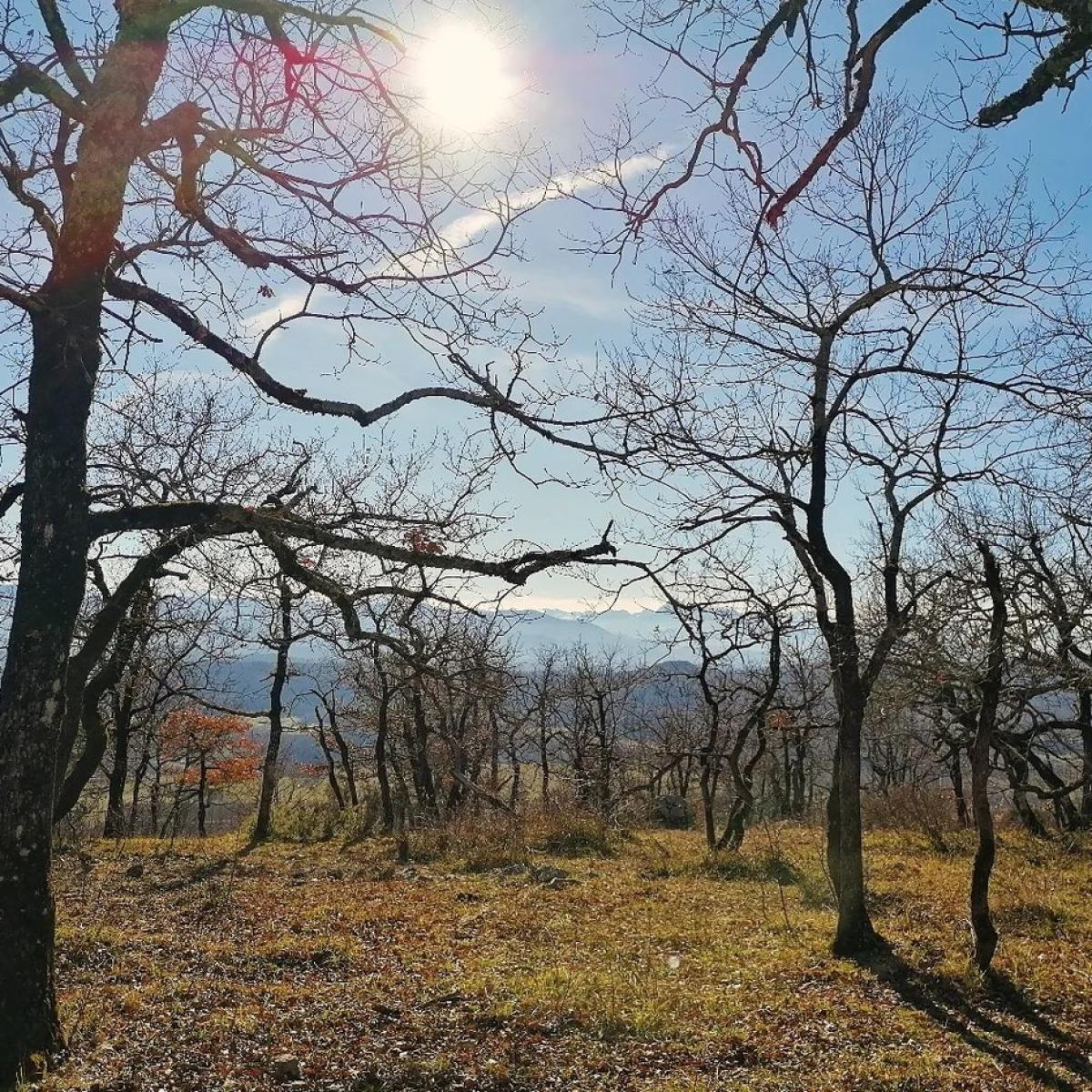 Le Mas d’Azil, village incontournable | Office de tourisme des vallées ...