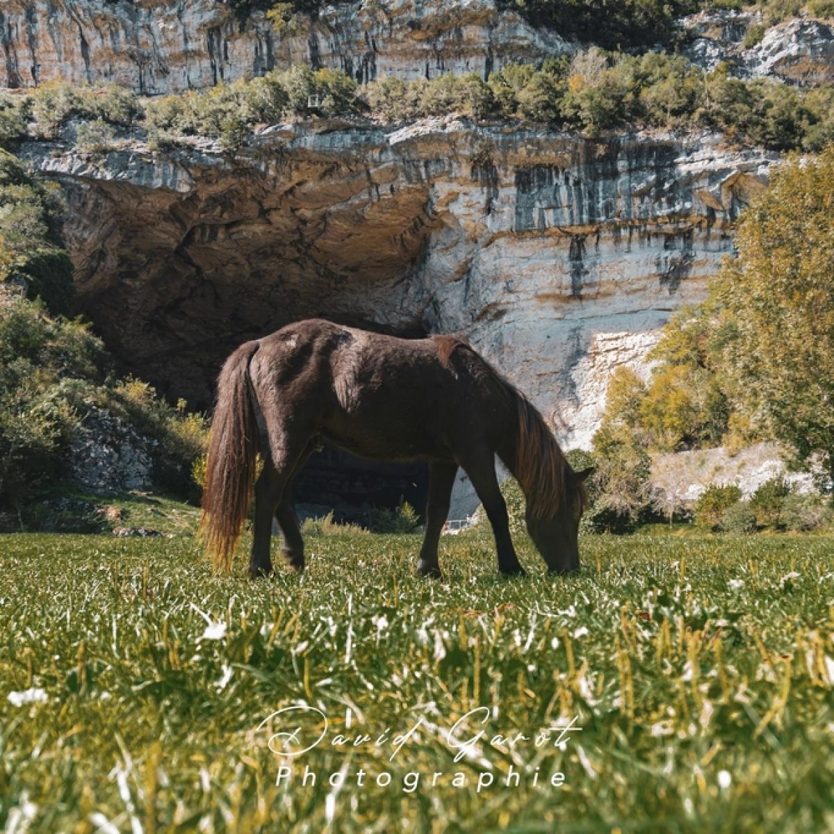 Le Mas d’Azil, village incontournable | Office de tourisme des vallées ...